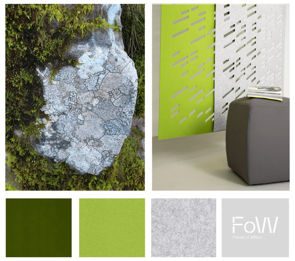 Fresh design inspiration from the FoW studio | Friends of Wilson